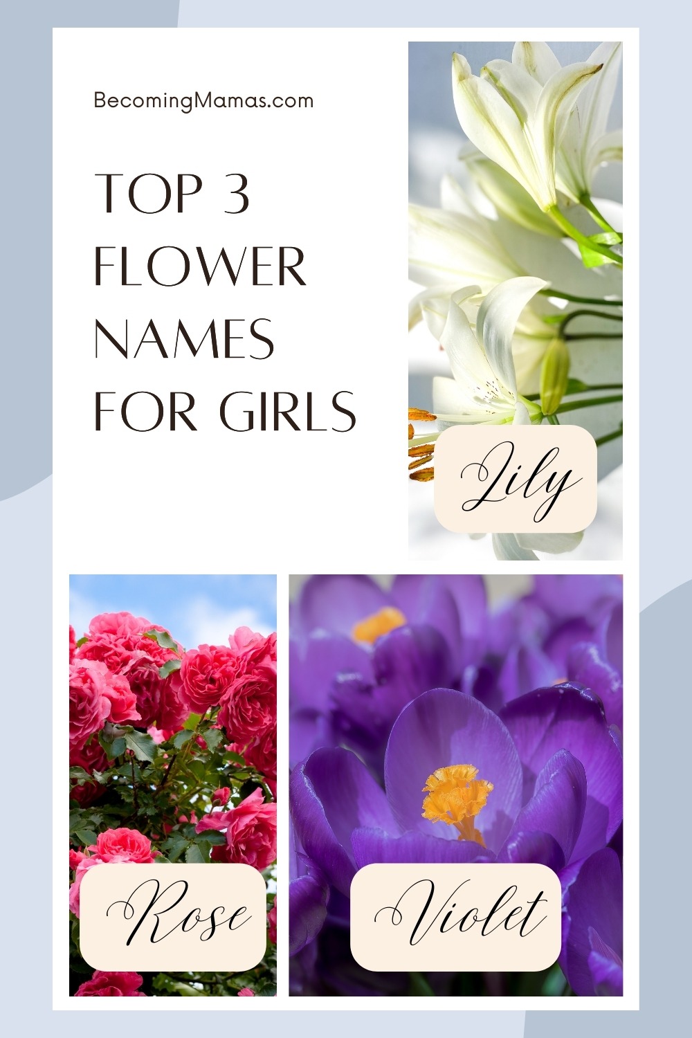 140+ Flower Names For Girls: Best Floral & Botanical Female Names In 2025