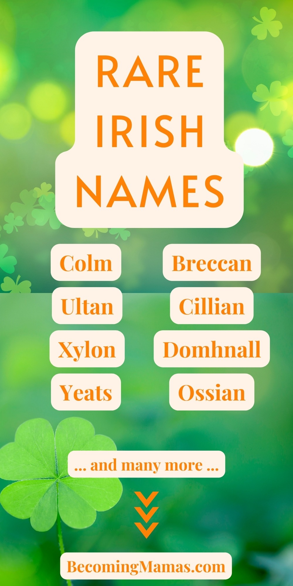 Irish Names For Boys: 95 Charming Picks For Your Dear Little Shamrock