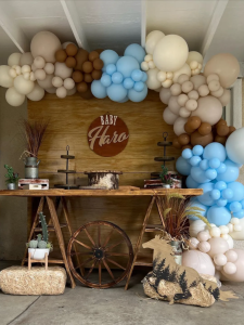 Cowboy Baby Shower Theme: 42 Western Baby Shower Ideas